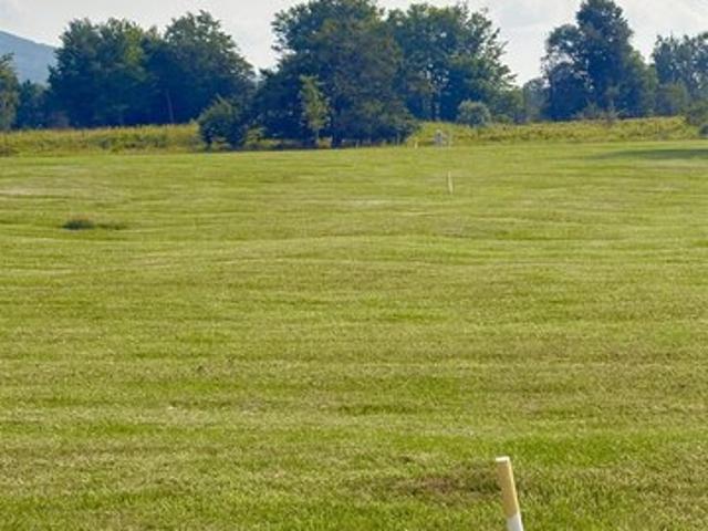 Katy Ln Lot 28, Davis, WV 26260