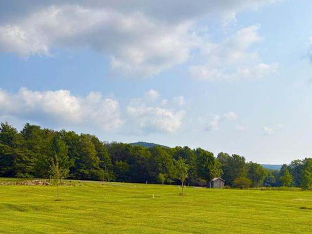 Katy Ln Lot 29, Davis, WV 26260