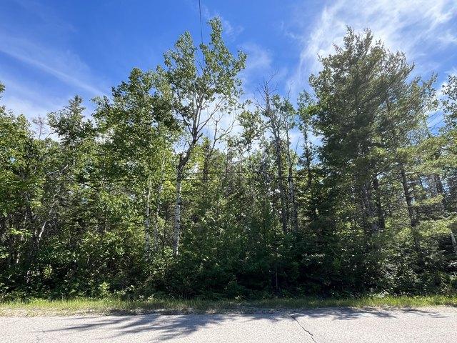 Kauffman Rd Lot 310, Presque Isle, MI 49777