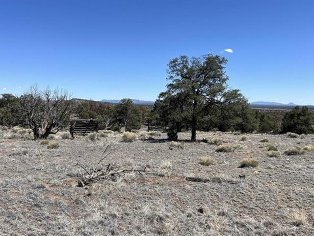 Kemo Sabe Pass Rd, Quemado, NM 87829