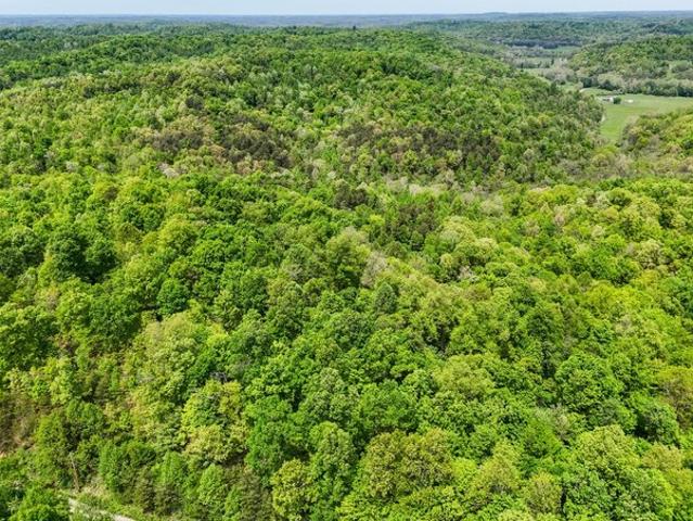 Kemper Hollow Rd Unit 50AC, Gallipolis, OH 45631