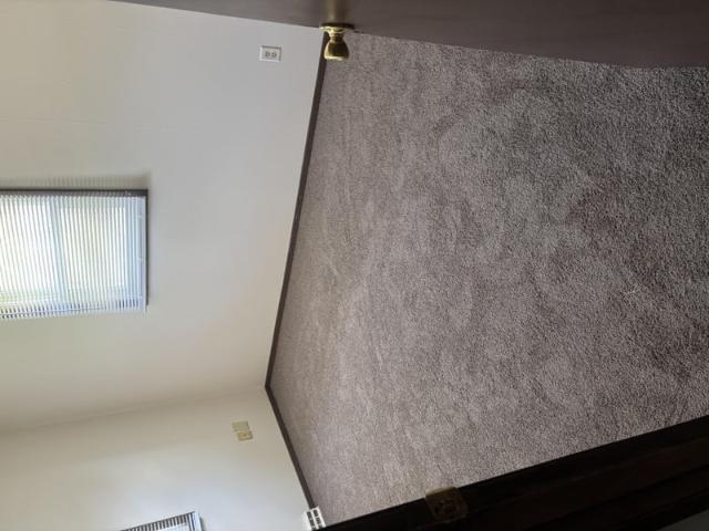 Kent Room for rent