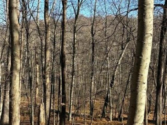 Kentbrook Ter, Kinnelon, Plot For Sale