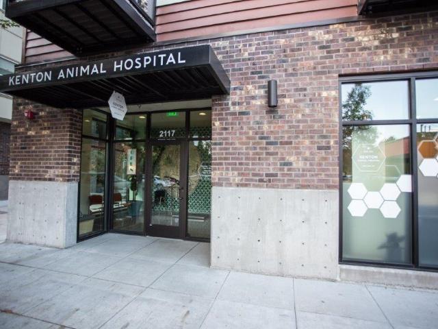 Kenton Commons Studio Apartment for Rent at 8408 N Brandon Ave, Portland, OR 97217 Kenton