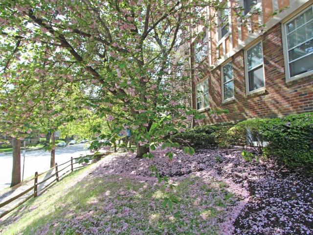 Kentwell Hall Apartments Studio Apartment for Rent at 6640 Sprague St, Philadelphia, PA 19119 East Mount Airy