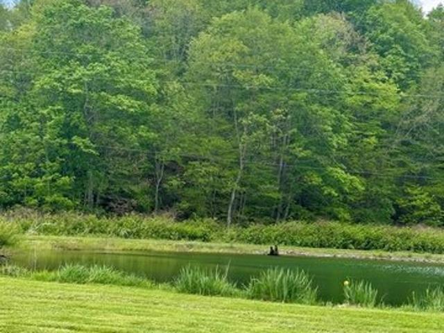 Kentucky Trail Haines Rd, Minford, OH 45653