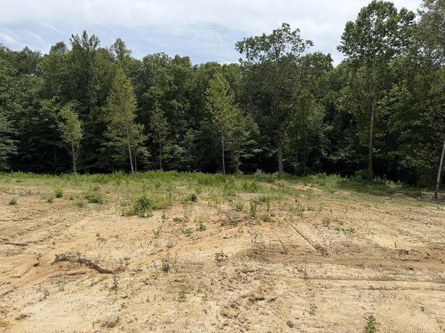 Kenway Dr Lot 8, Irvine, KY 40336