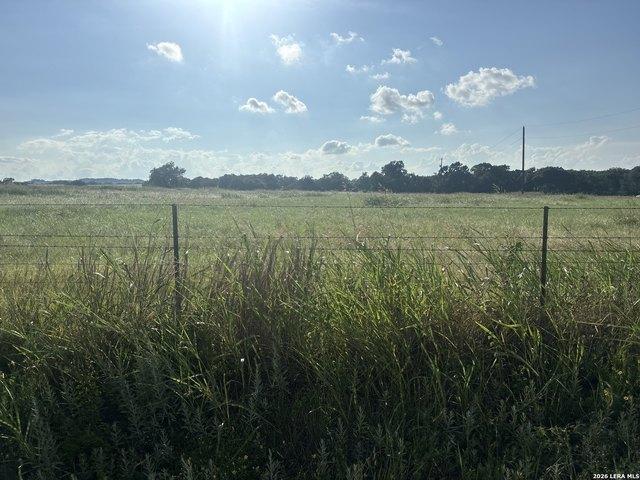 Kendalia/ Trainer Wuest, Blanco, TX 76706
