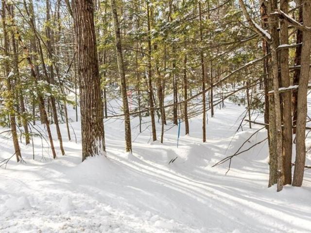 Kendall Hill Rd Lot, Mont Vernon, Plot For Sale