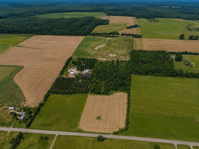 Kendaville Rd, Pierson, MI 49339