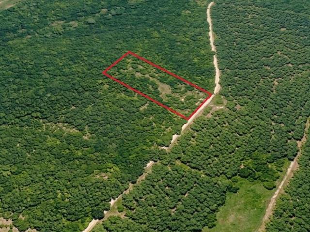 Kendrick Mill Rd, Crawfordville, GA 30631
