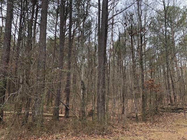 Kendrick Rd, Eldridge, AL 35554