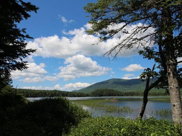 Kennebago River Rd Lot,stetsontown Township, Plot For Sale