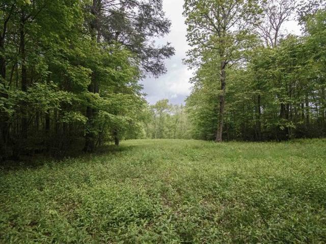 Keno Rd, Laurel Fork, VA 24352