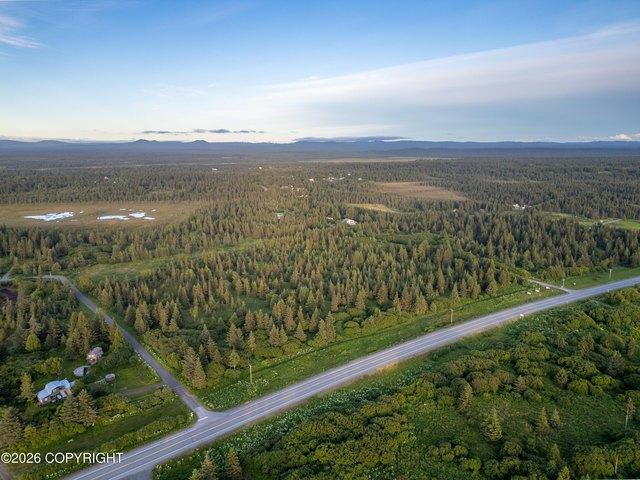 Kensington Ave, Ninilchik, AK 99639