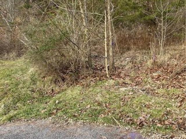 Kensington Ct, Cross Lanes, WV 25313