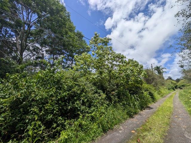 Keola Pl, Mountain View, HI 96771