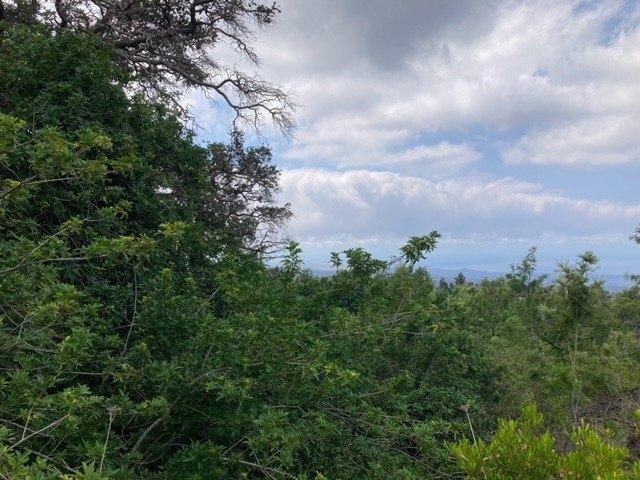 Keaka Pkwy, Ocean View, HI 96737