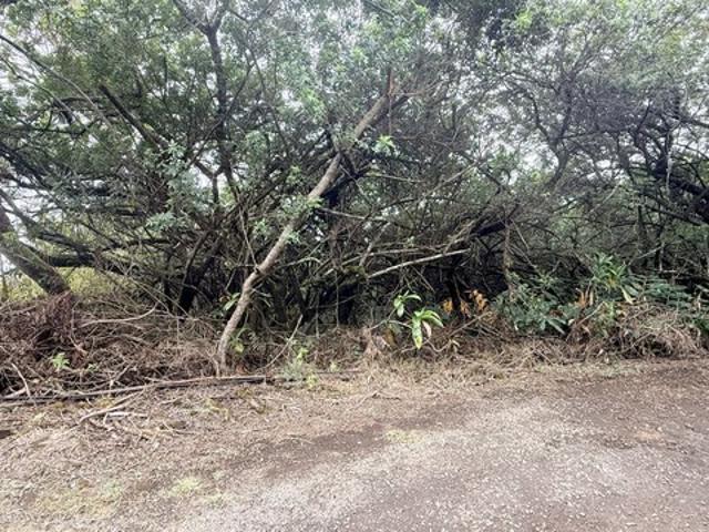 Kealakekua, HI 96750
