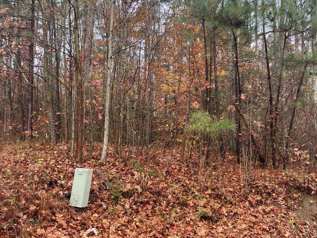 Keech Rd, Charlotte Hall, MD 20622 | MLS #MDCH2037