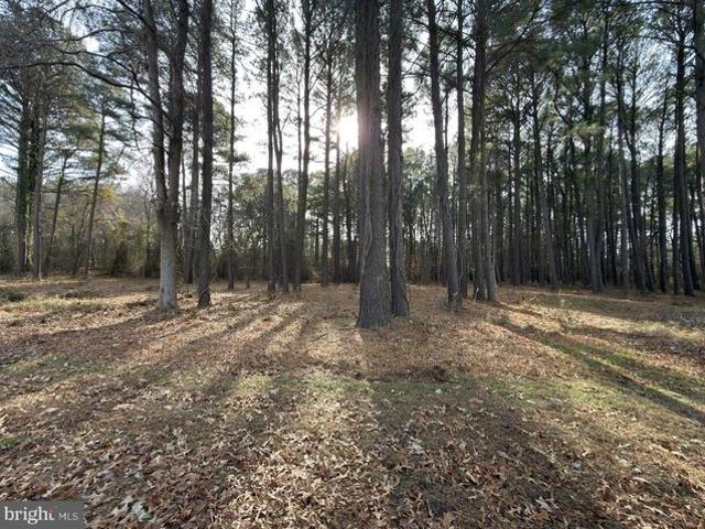 Keen Rd, Deal Island, MD 21821