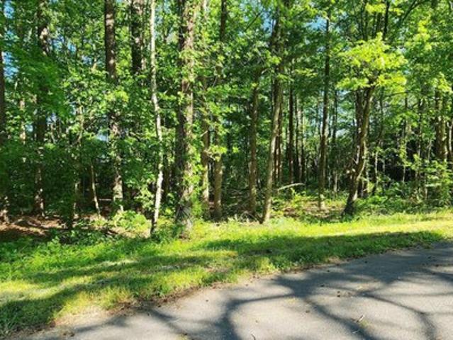 Keep Lot 4, Snow Hill, MD 21863