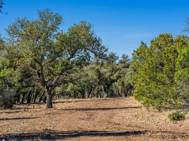 Keese Rd, Fredericksburg, TX 78624