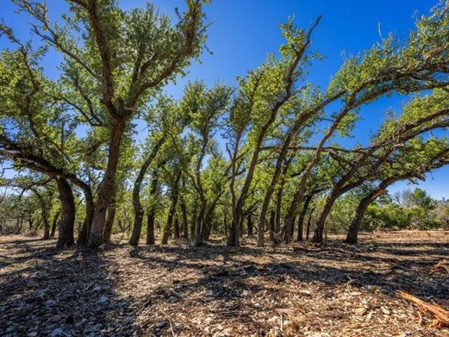 Keese Rd, Fredericksburg, TX 78624