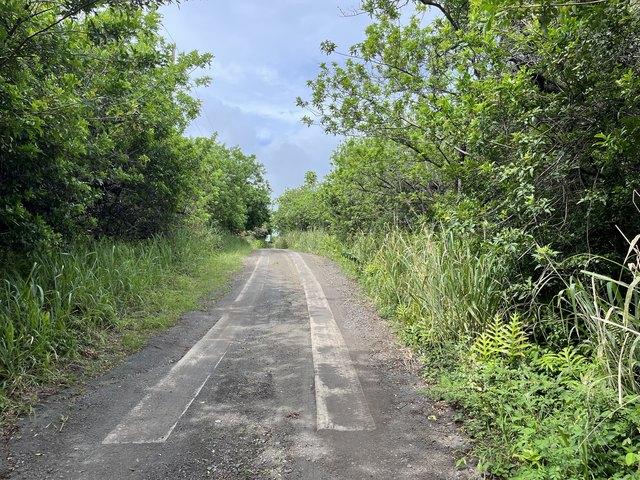 Kekuhaupio Rd, Naalehu, HI 96772