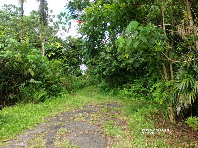 Kekauonohe St, Pahoa, HI 96778