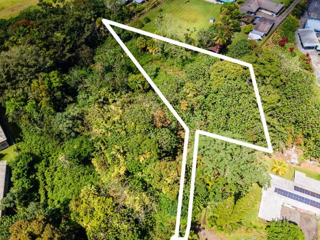 Kekauonohi St, Pahoa, HI 96778 | MLS #728906 | Compass