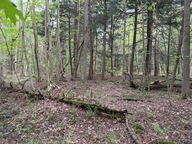 Kellogg Hill Road
