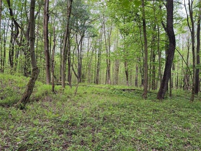 Kellogg Hill Rd, South Dayton, NY 14138