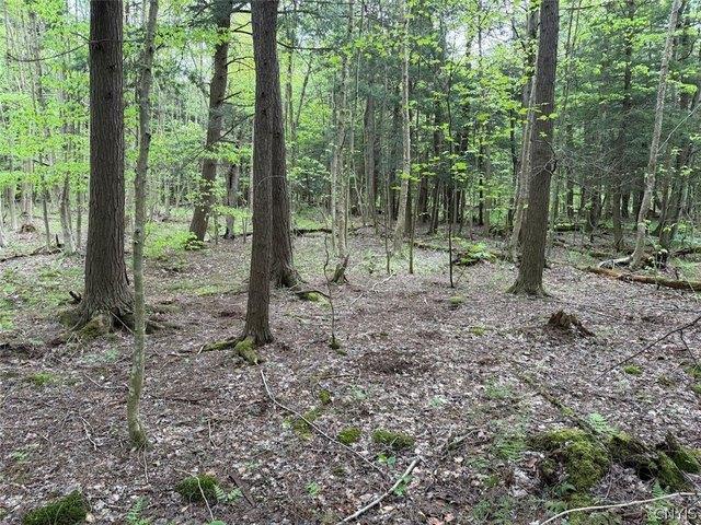 Kellogg Hill Rd, South Dayton, NY 14138