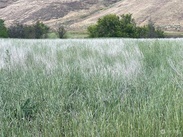Kellogg Hollow Rd, Dayton, WA 99328