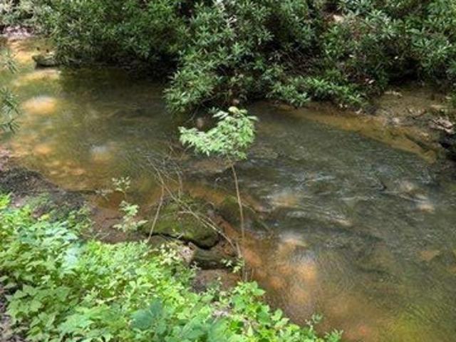 Kells Rdg Lot 2, Ellijay, GA 30540