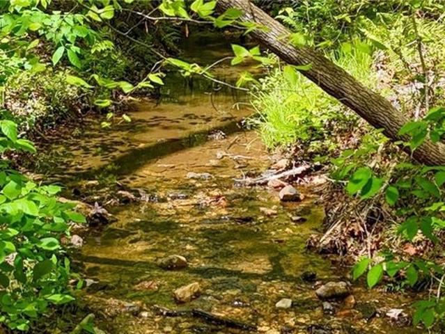 Kelly Bridge Rd, Dawsonville, GA 30534