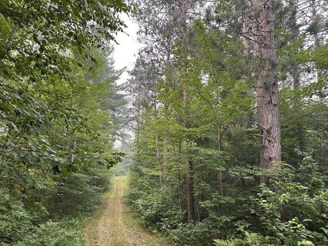 Kelly Lake Rd, Barnes, WI 54873