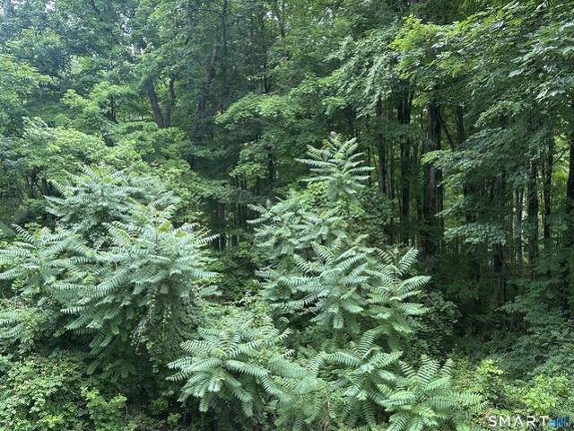Kelseytown Bridge Rd, Clinton, CT 06413