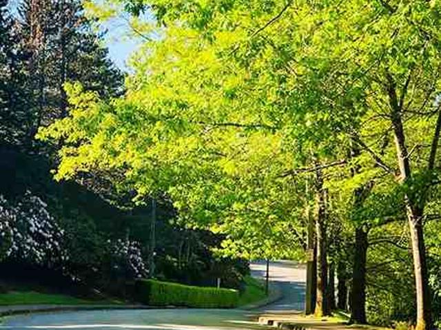 Kelsey Ridge Apartments 2 Bedroom Apartment for Rent at 1680 134th Ave Se, Bellevue, WA 98005