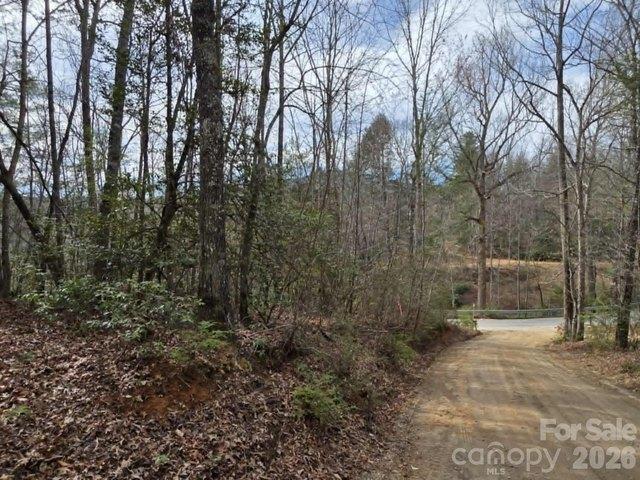 Kerlee Ln Lot 1, Old Fort, NC 28762