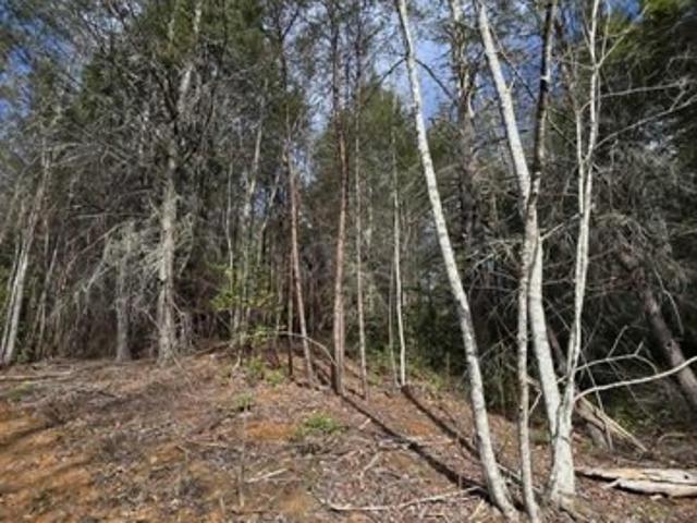 Kerlee Ln Lot 4, Old Fort, NC 28762