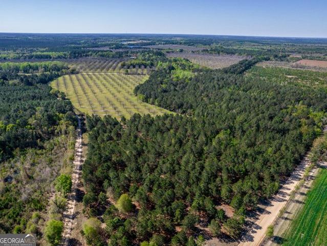 Kermit Rd, Cobbtown, GA 30420