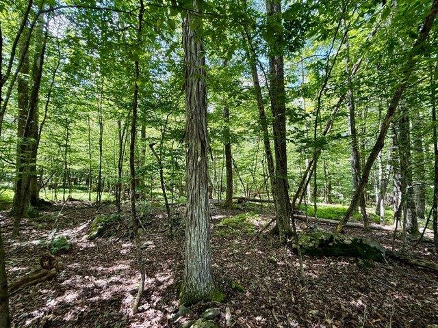 Kerness Rd, Wawarsing, NY 12428