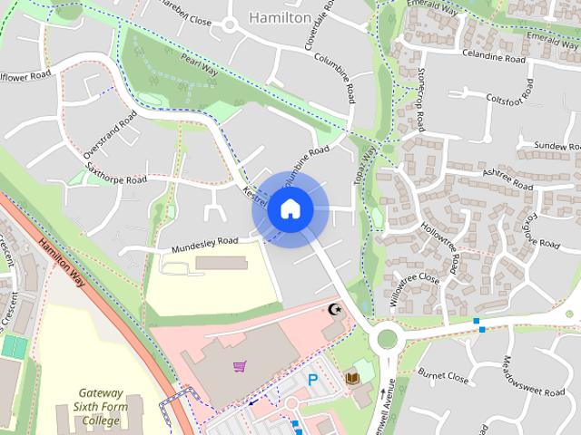 Kestrel Lane, Hamilton, Leicester