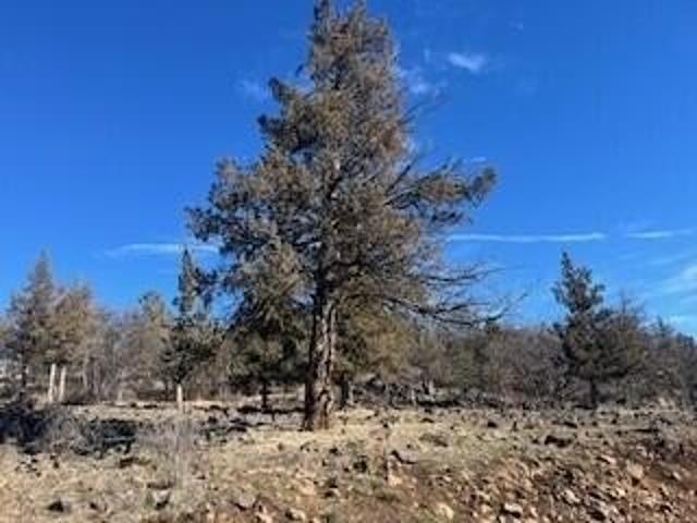 Kestrel Rd Lot 721, Klamath Falls, OR 97601