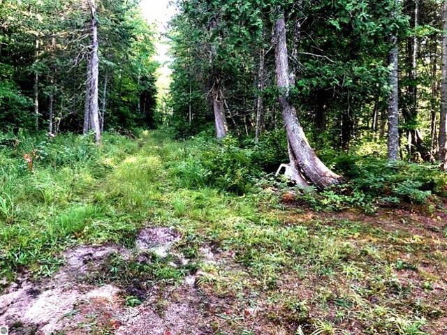 Keweenaw Pass Rd, Lake Linden, Plot For Sale