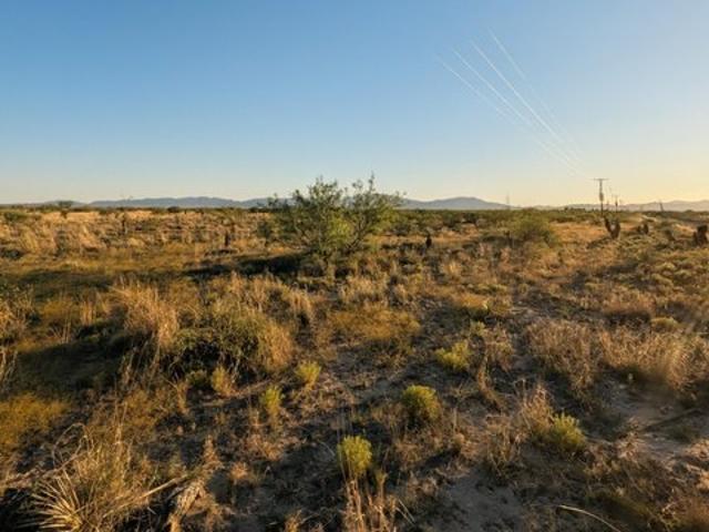 Kimzey Rd, Willcox, AZ 85643