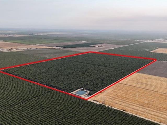 Kimberlina, Shafter, CA 93263
