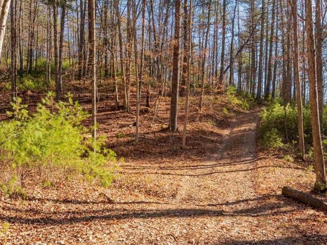 Kimberling Rd, Bland, VA 24315